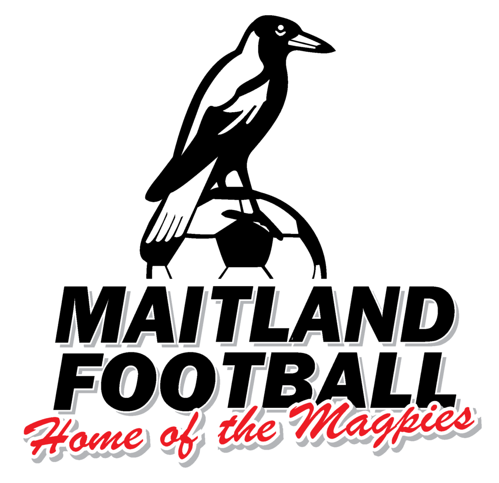 Our Club - Maitland Footbal Club